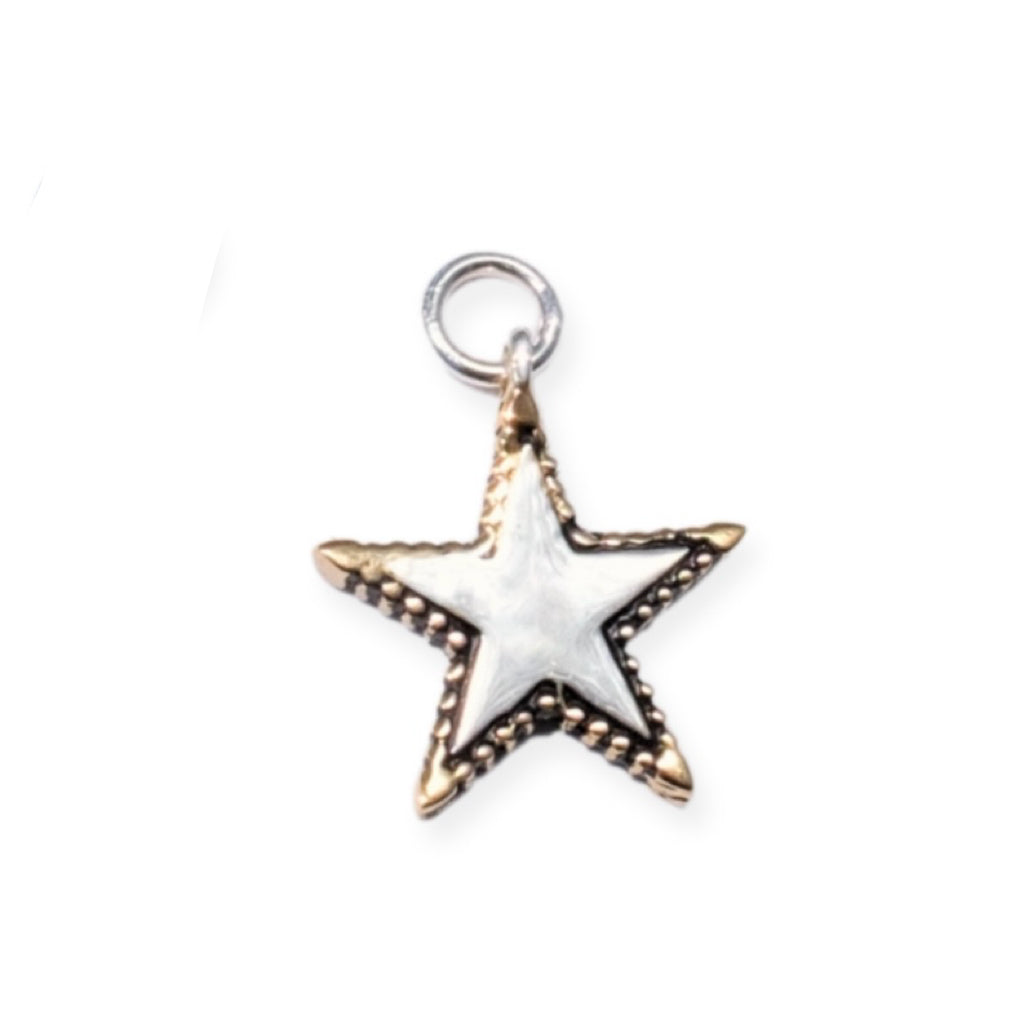 Large Hoop Charm - Rock Star silver & gold